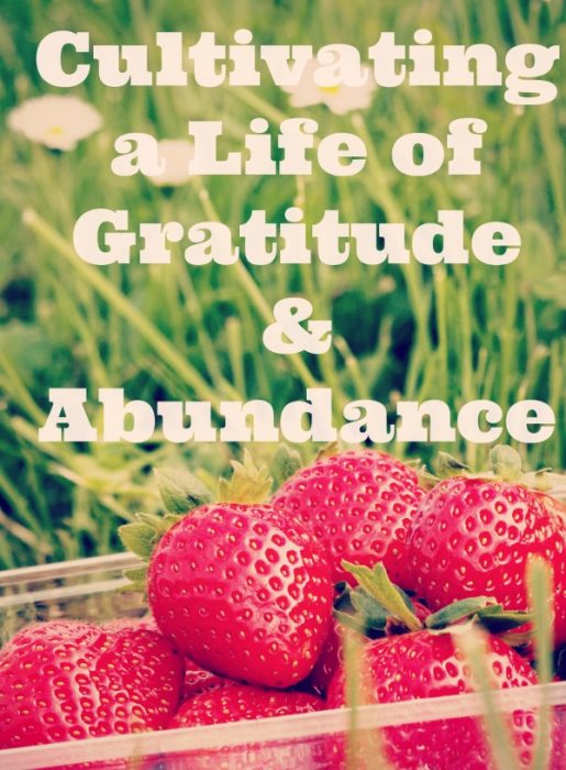 05: The Life You Love Manifesto|A Life of Gratitude & Abundance ...